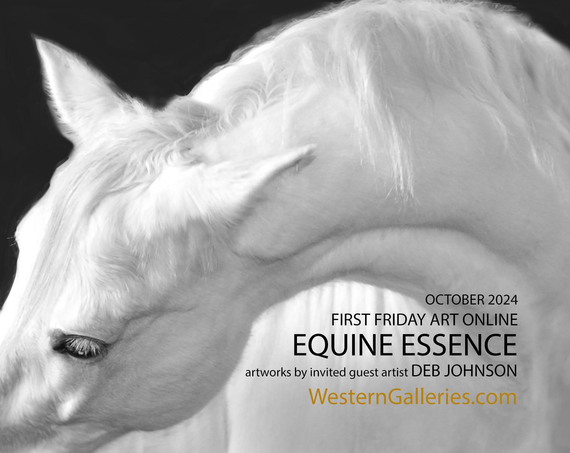 Deb Johnson | Artist | Western Galleries Fredericksburg TX