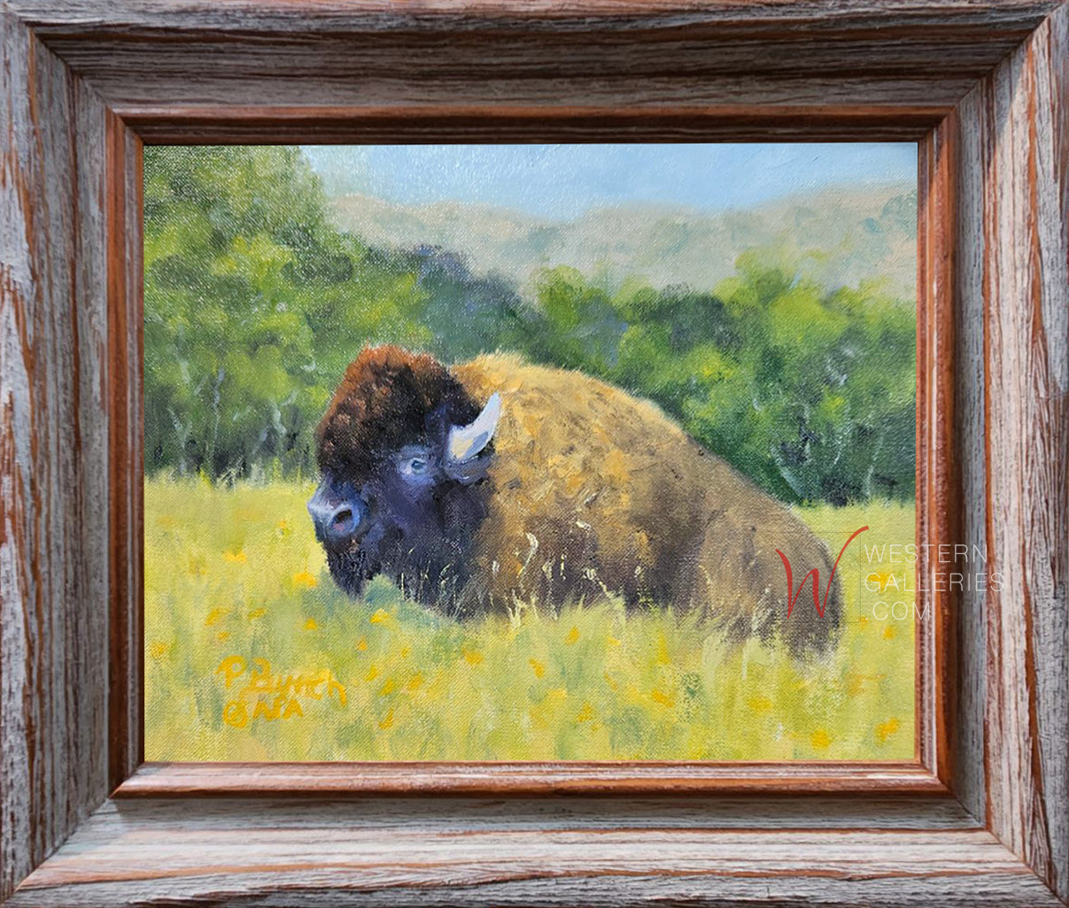 Buffalo Siesta Time Oil Painting | Pam Bunch | Western Galleries