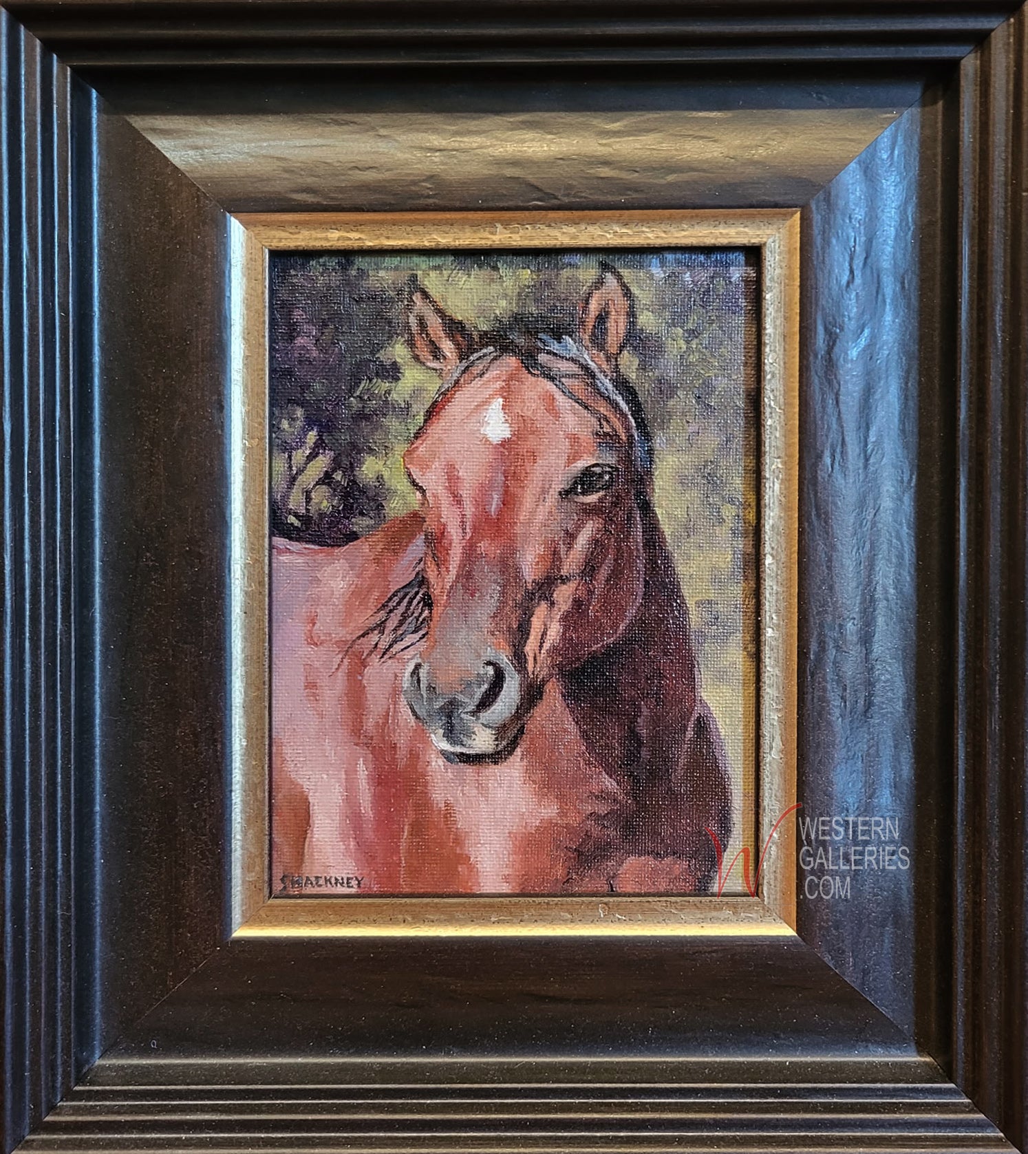 Curly Bill Equine Oil Painting by Susan Hackney | Western Galleries