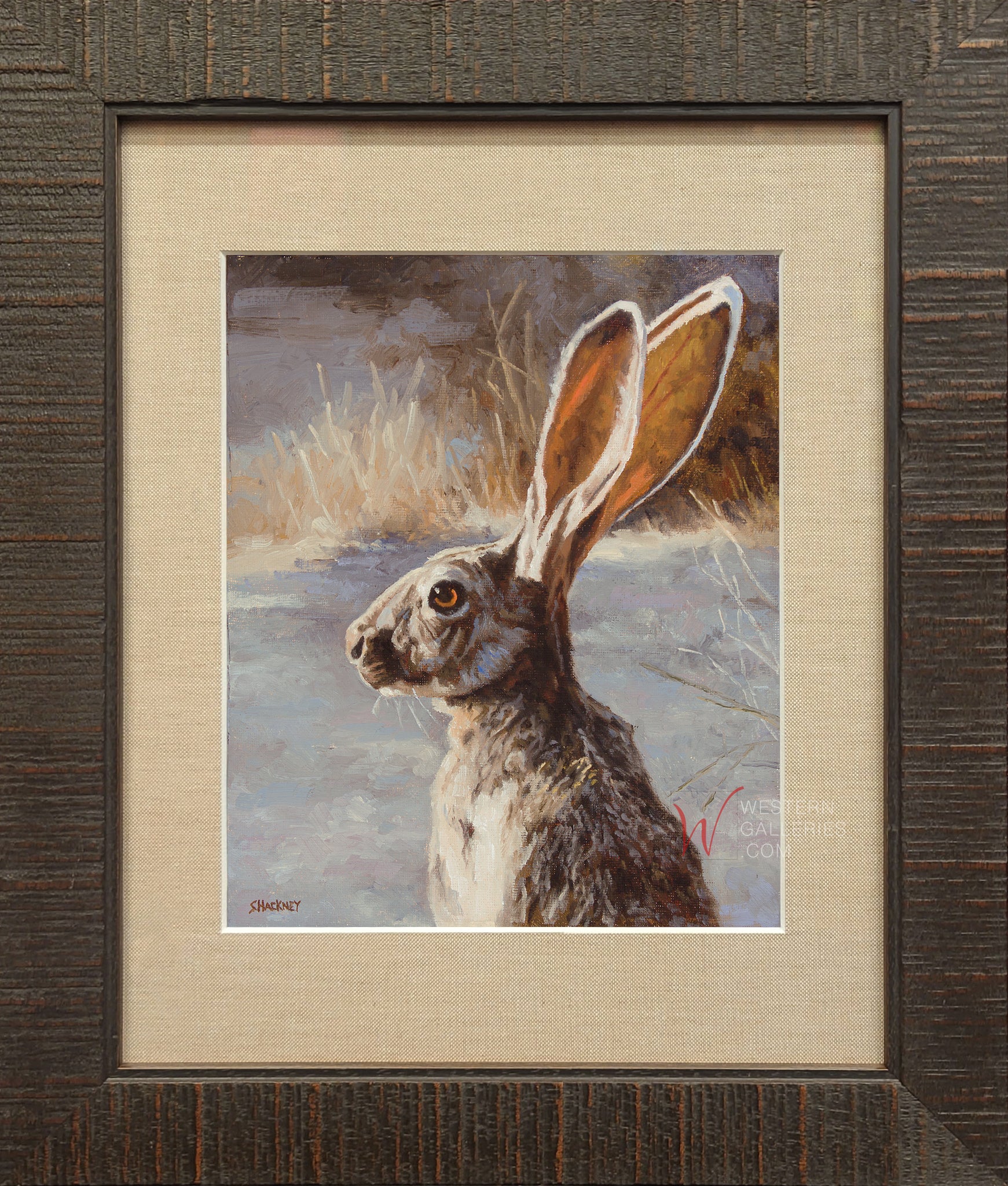I'm All Ears Jackrabbit Print by Susan Hackney | Western Galleries
